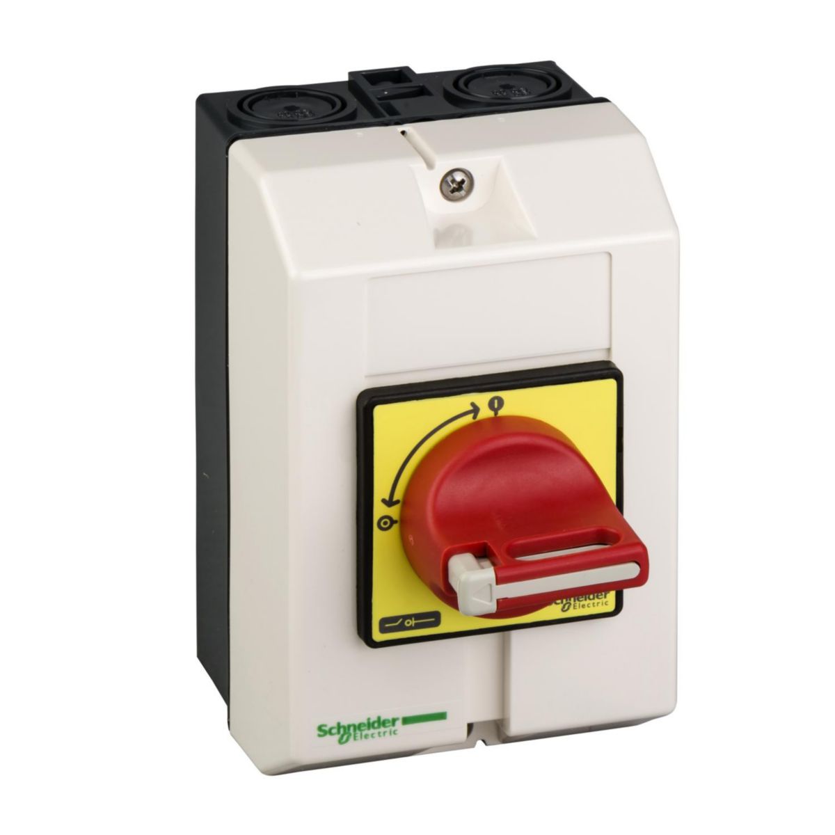 SCHNEIDER ELECTRIC - Interrupteur-sectionneur ar urg 10a en coffret ...